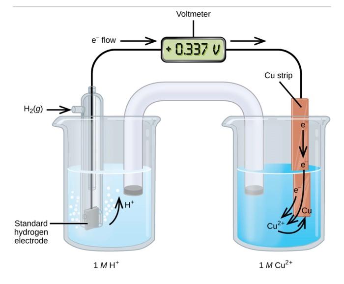 Solved write the Volatile Cell Shorthand Notation for the | Chegg.com