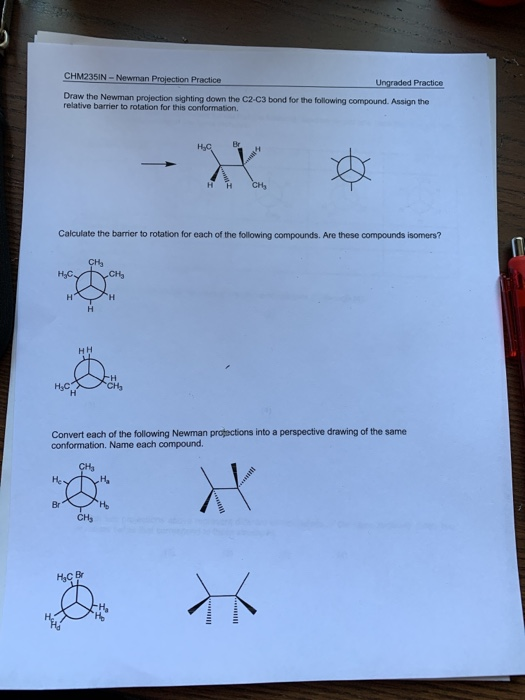 Solved CHM235IN-Newman Projection Practice Ungraded Practice | Chegg.com