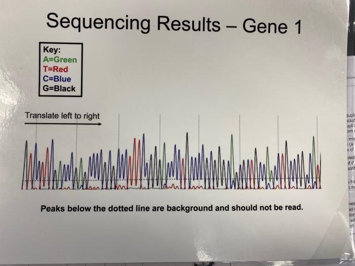 Solved Activity 2: DNA Sequencing Analysis of a "Mystery | Chegg.com