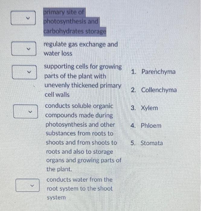 Solved regulate gas exchange and water loss | Chegg.com