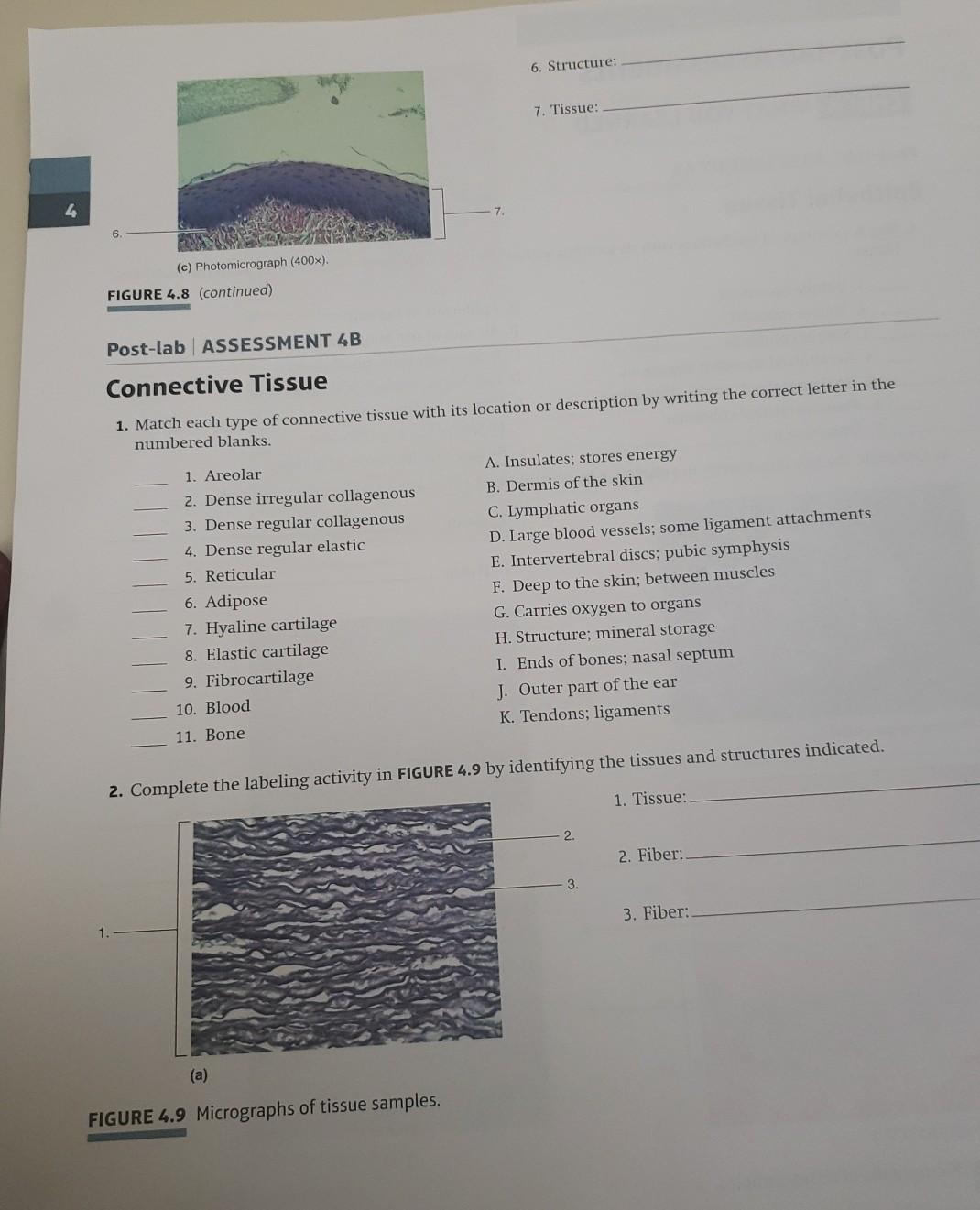 Solved 6. Structure: 7. Tissue: 4 7 6 (c) Photomicrograph | Chegg.com