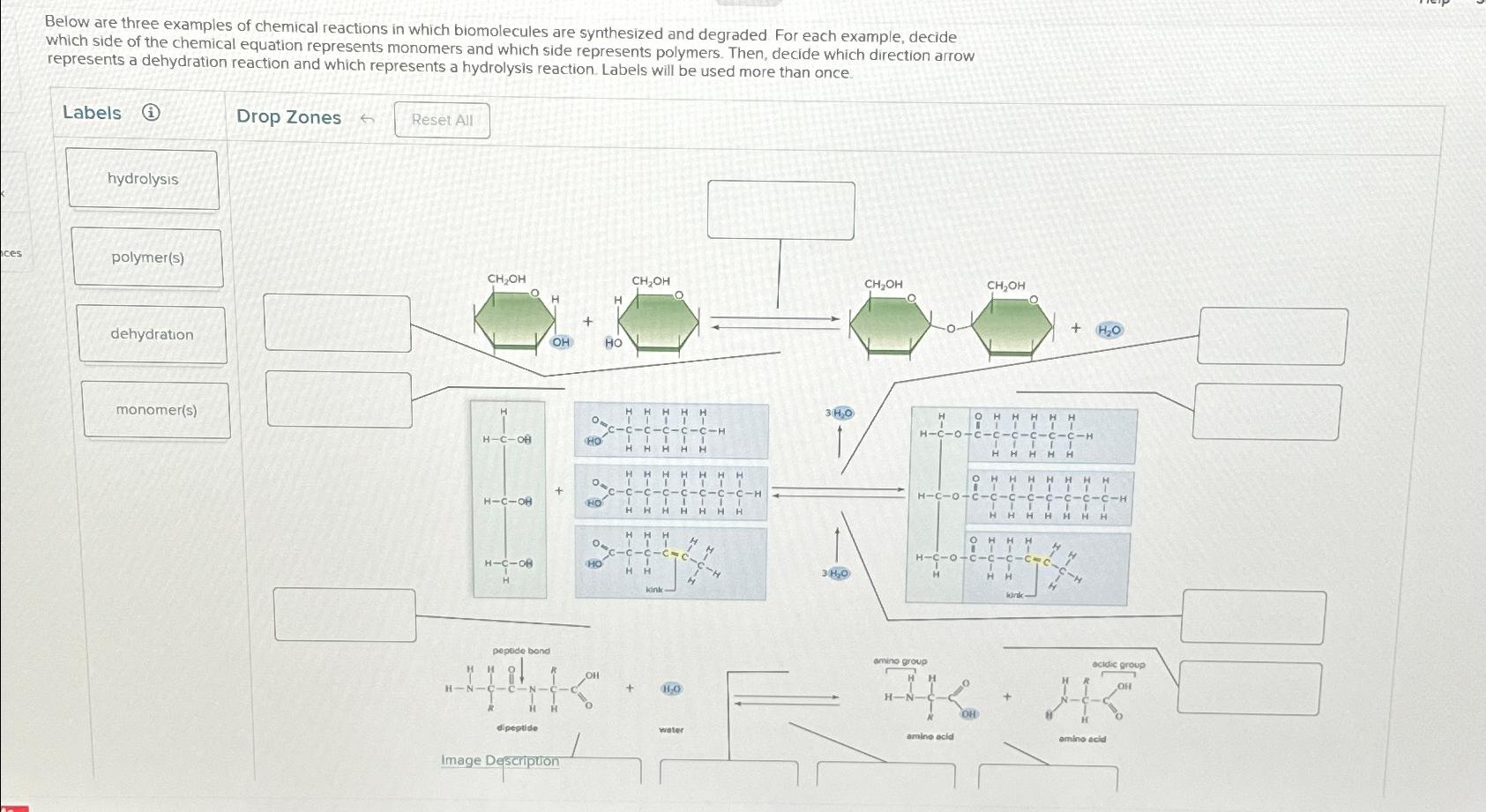 Solved Below are three examples of chemical reactions in | Chegg.com