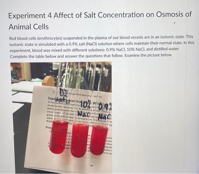 Solved Experiment 4 Affect of Salt Concentration on Osmosis | Chegg.com