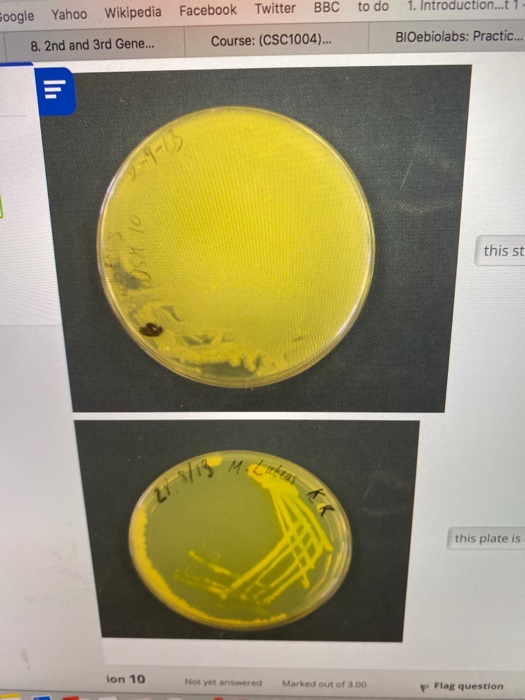 Solved from these option could you plewse tell me the | Chegg.com