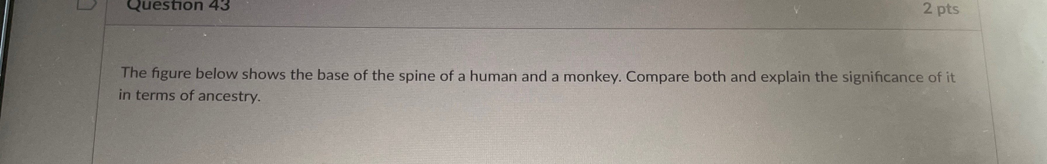 Solved The figure below shows the base of the spine of a | Chegg.com