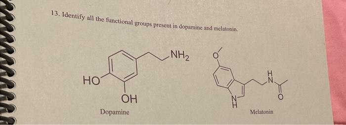 Solved 13. Identify all the functional groups present in | Chegg.com