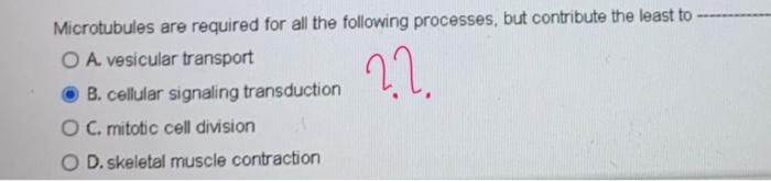 Solved Microtubules are required for all the following | Chegg.com
