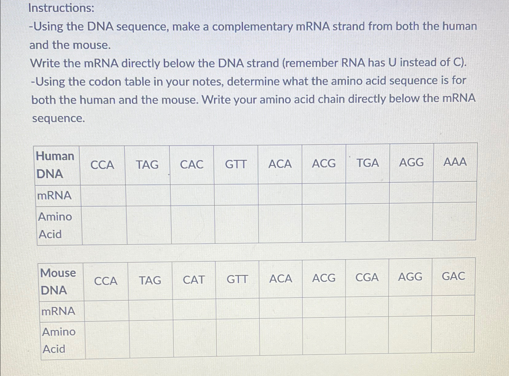Solved Instructions:-Using the DNA sequence, make a | Chegg.com