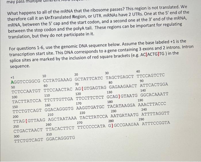 Solved 5.Write the sequence of the protein this gene | Chegg.com