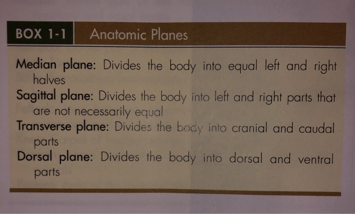 Solved BOX 1-3 Common Regional Terms Barrel: Trunk of the | Chegg.com
