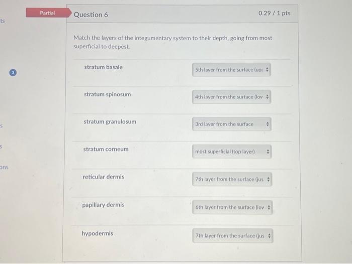 Solved Match the layers of the integumentary system to their | Chegg.com