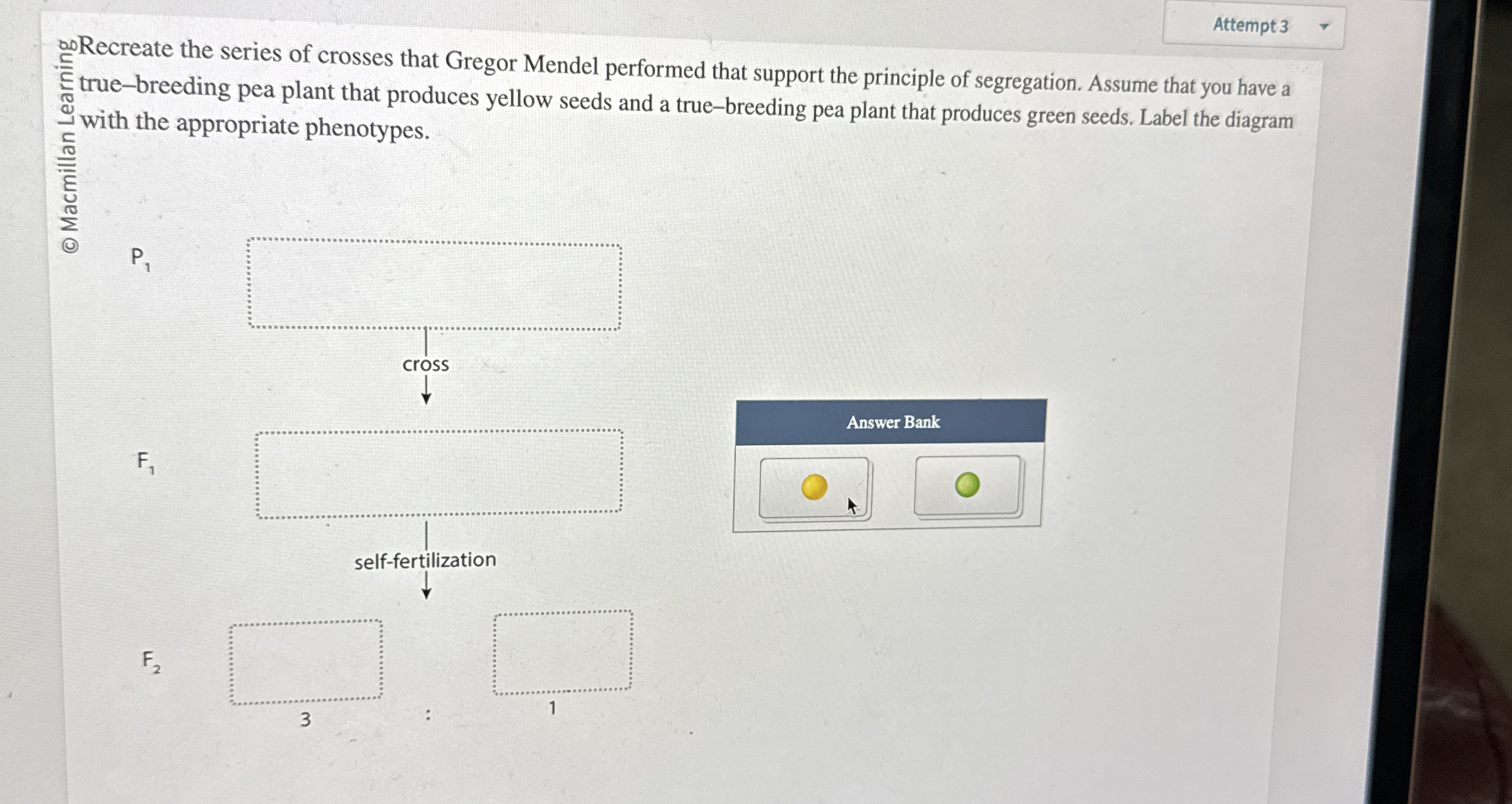 Solved ?00 ﻿Recreate the series of crosses that Gregor | Chegg.com