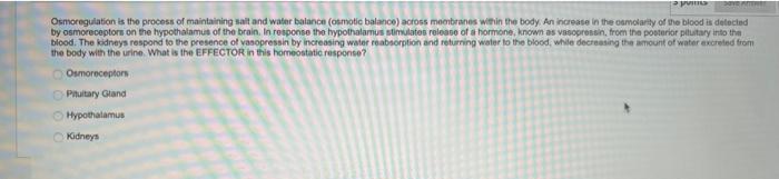 Solved Osmoregulation Is The Process Of Maintaining Salt And