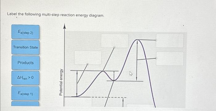 Solved Label the following multi-step reaction energy | Chegg.com