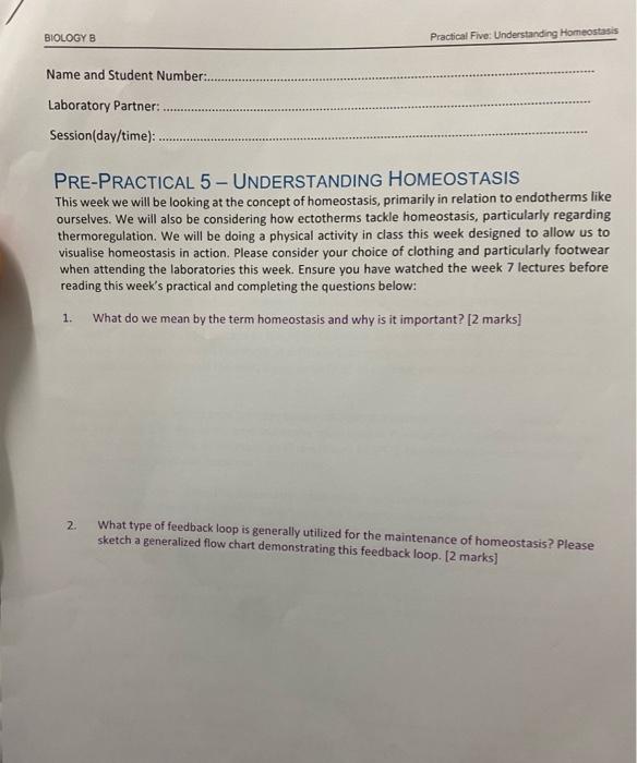 PRE-PRACTCAL 5 - UNOERSTANDENG | Chegg.com