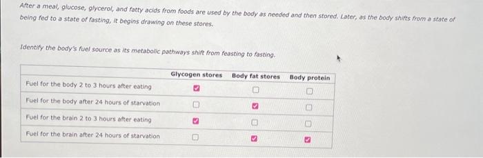 Solved 1. Energy Metabolism Pathways The body uses | Chegg.com