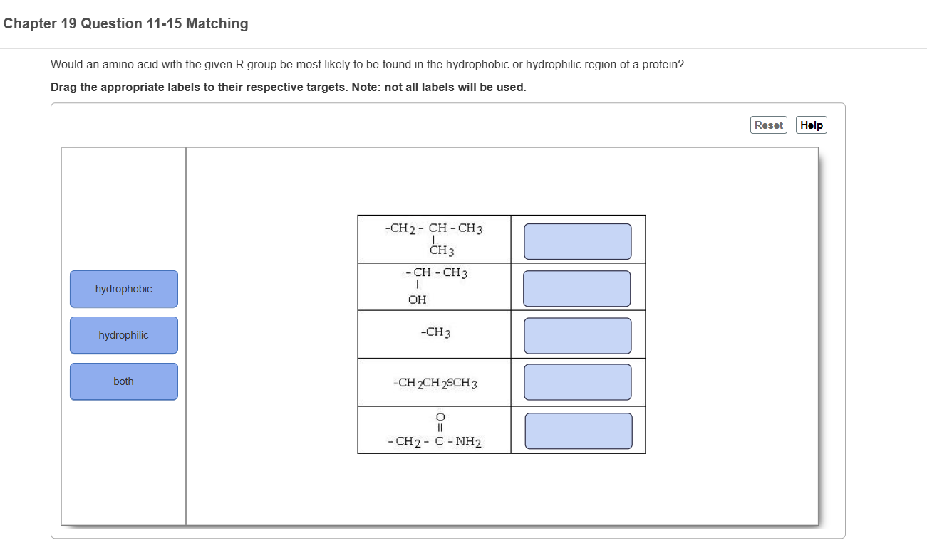 Solved Drag the appropriate labels to their respective | Chegg.com