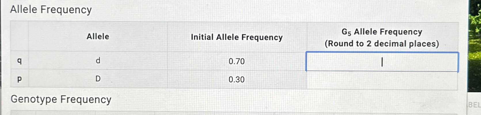 Solved Allele Frequency\table[[,Allele,Initial Allele | Chegg.com