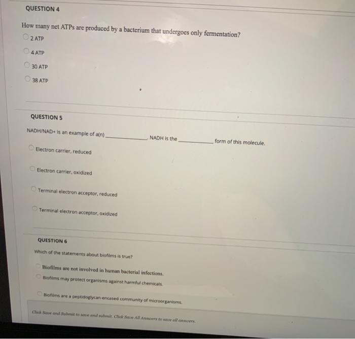 Solved QUESTION 4 How many net ATPs are produced by a | Chegg.com