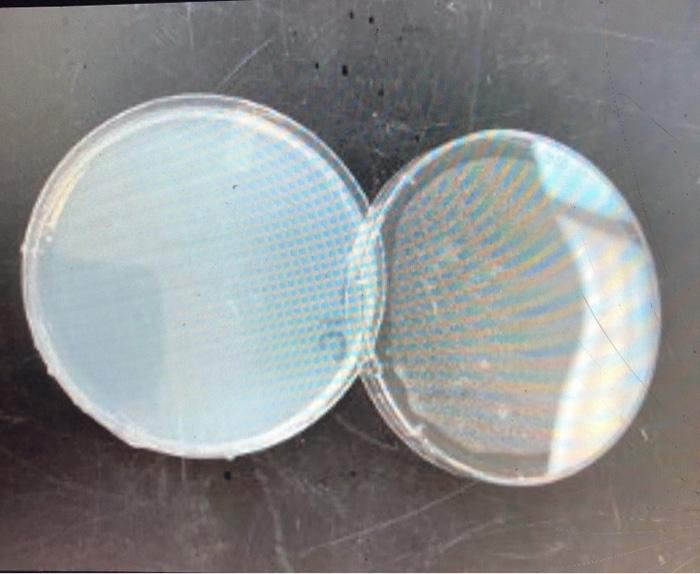 Solved Starch agar - uninoculated controlStarch agar after | Chegg.com