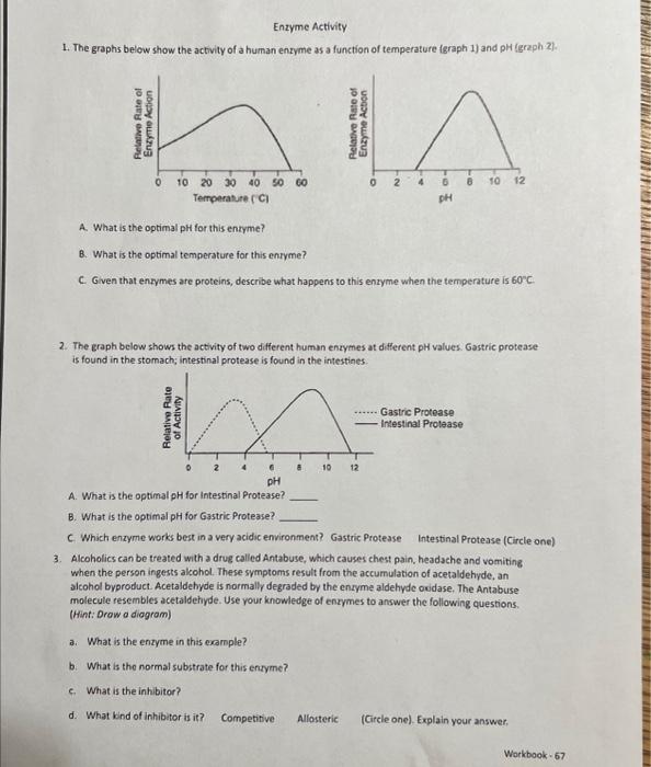 Solved Enzyme Activity 1. The graphs below show the activity | Chegg.com