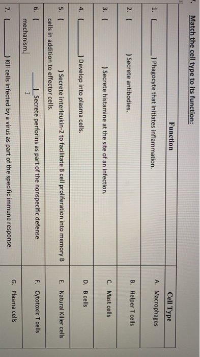 Solved - Match the cell type to its function: Function Cell | Chegg.com