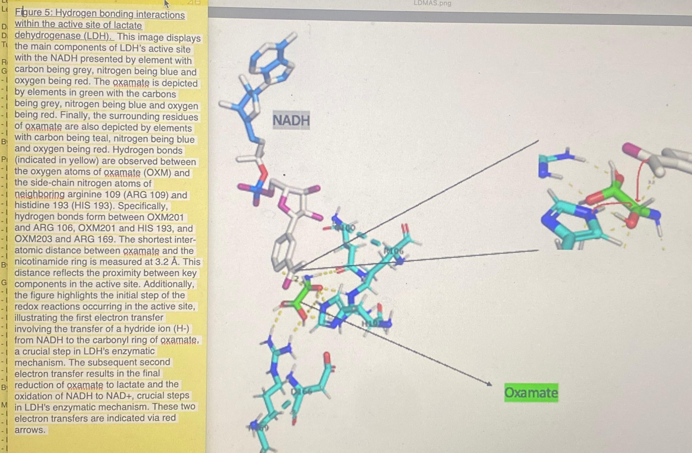 Solved illustrate how the NADH phosphate groups are | Chegg.com