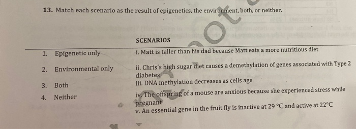 Solved 13. Match each scenario as the result of epigenetics, | Chegg.com