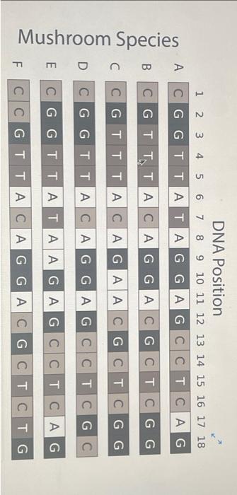 DNA Position Go back to your character matrix and | Chegg.com
