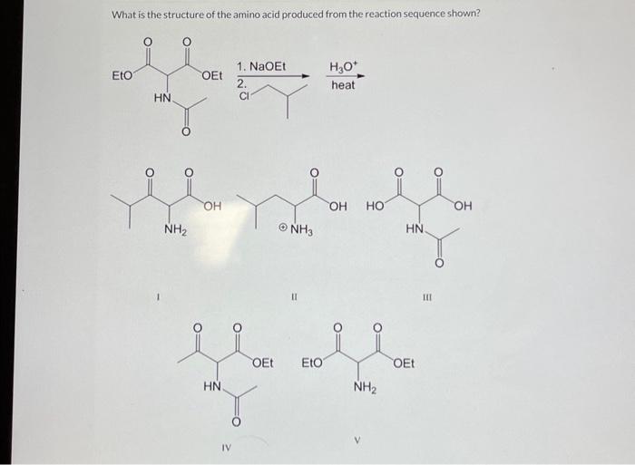 Solved What is the structure of the amino acid produced from | Chegg.com