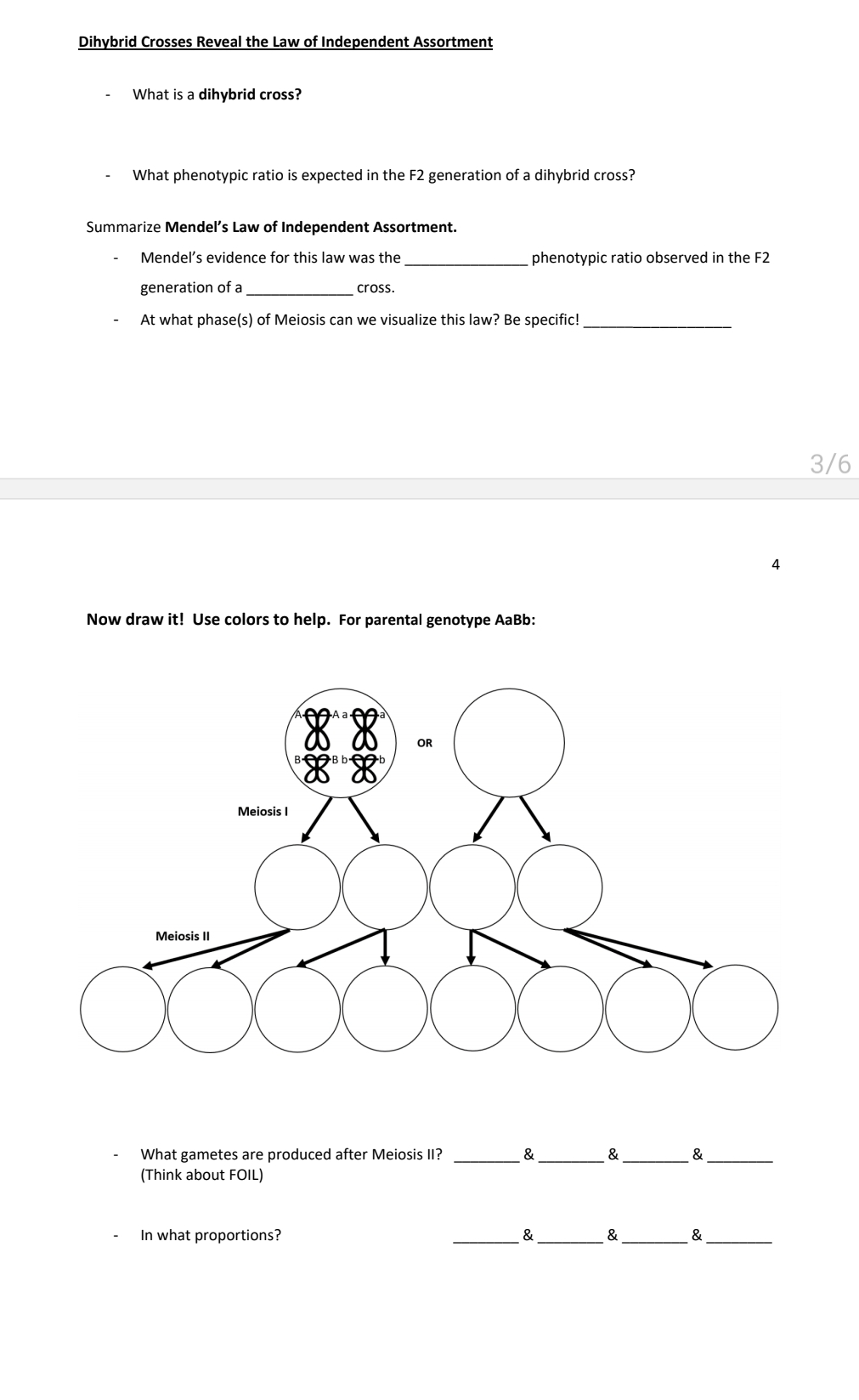 Solved Dihybrid Crosses Reveal the Law of Independent | Chegg.com