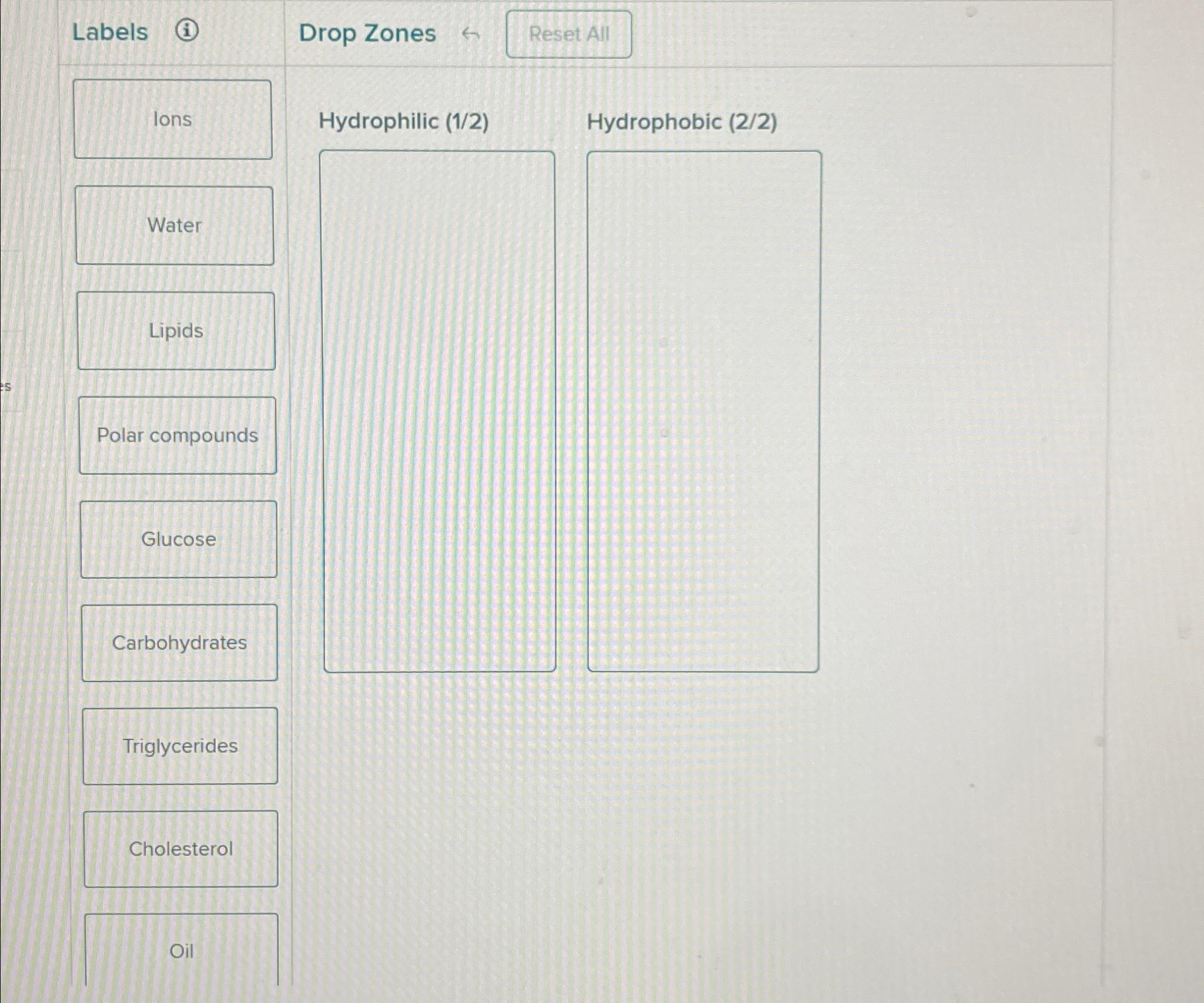 Solved Labels(i)Drop ZonesHydrophilic (1/2)Hydrophobic | Chegg.com