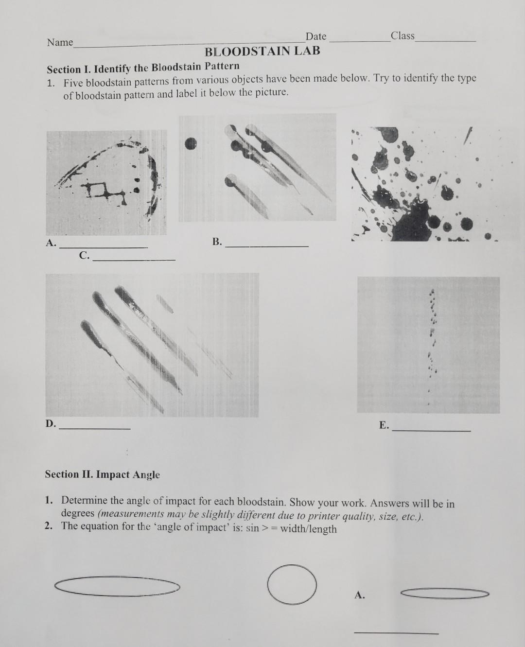 Section I. Identify the Bloodstain Pattern 1. Five | Chegg.com