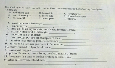 Solved Use the key to identify the cell types or blood | Chegg.com