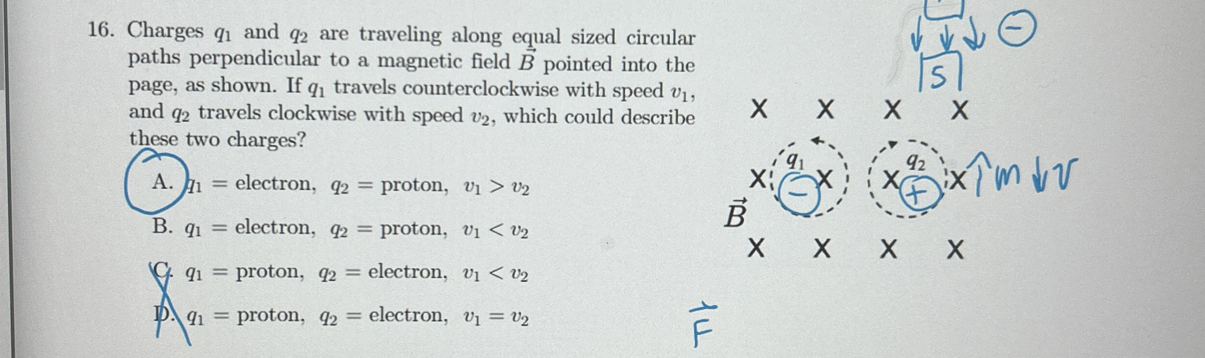 Solved Charges q1 ﻿and q2 ﻿are traveling along equal sized | Chegg.com