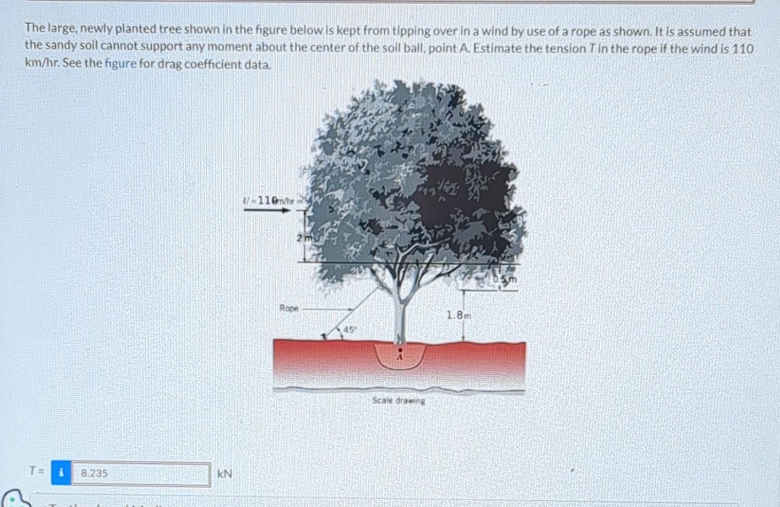Solved The large, newly planted tree shown in the figure | Chegg.com