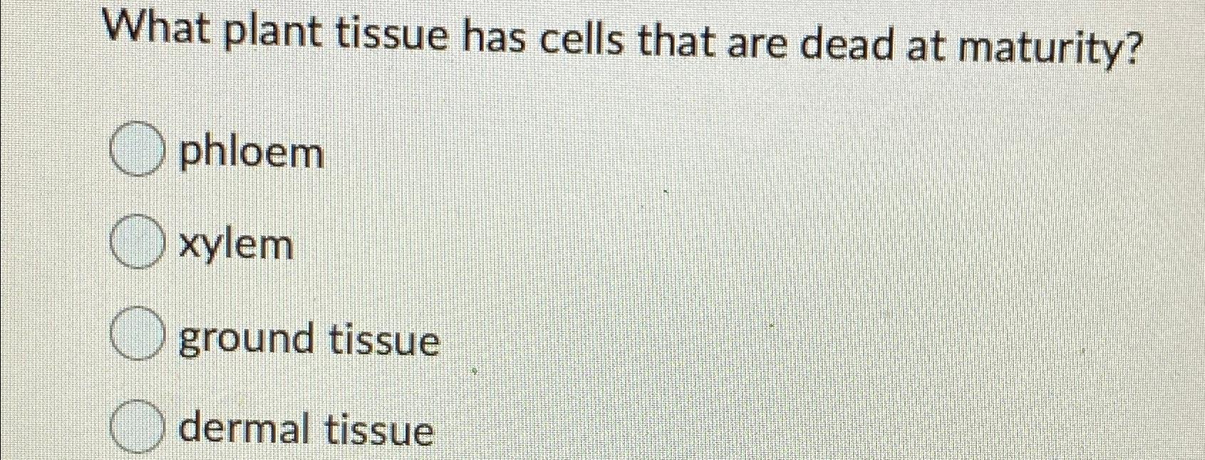Solved What plant tissue has cells that are dead at | Chegg.com