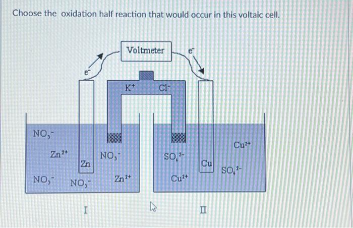 Solved Choose the oxidation half reaction that would occur | Chegg.com