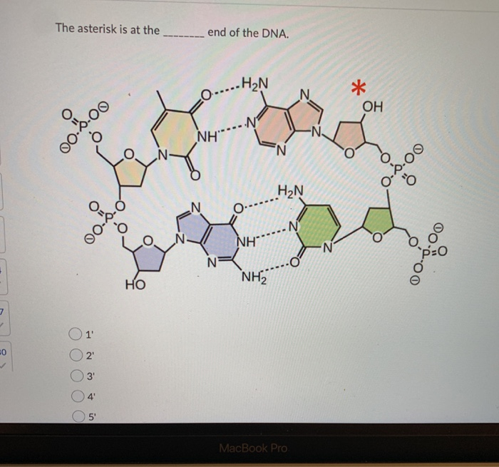 Solved is a technology that changes how the primary RNA | Chegg.com