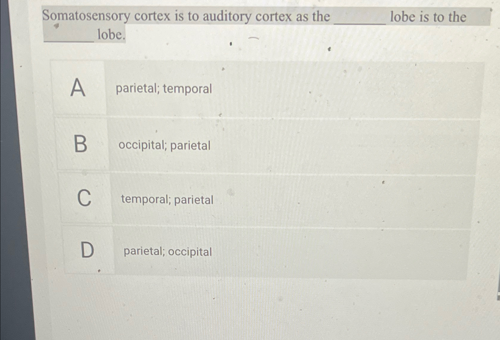 Solved Somatosensory cortex is to auditory cortex as the | Chegg.com