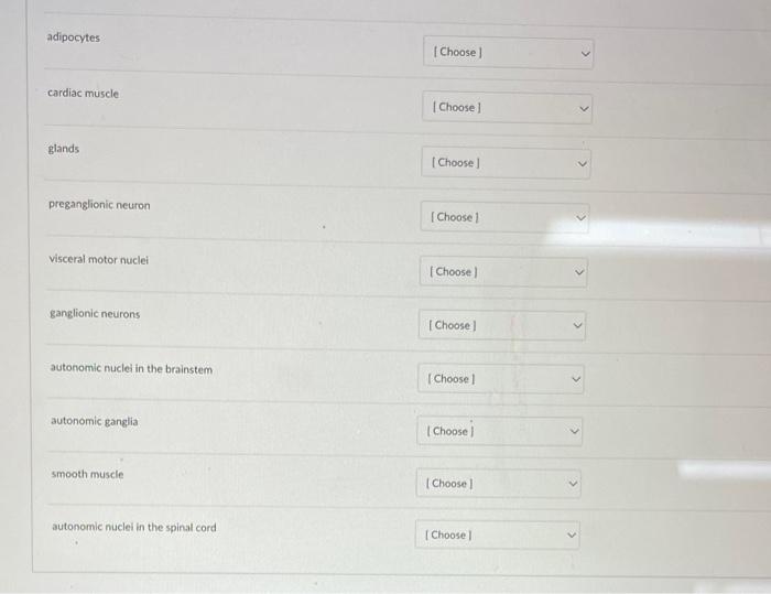 Solved Matos the autonomic nervous system (ANS) pathway | Chegg.com
