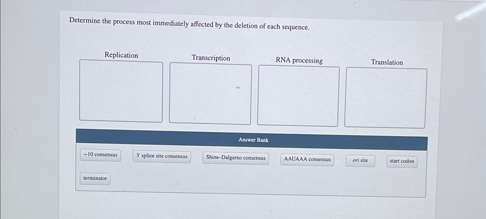 Solved Determine The Process Most Immediately Affected By 