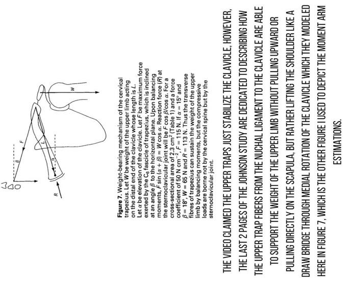 Solved Is this correct? Could you please elaborate about the | Chegg.com