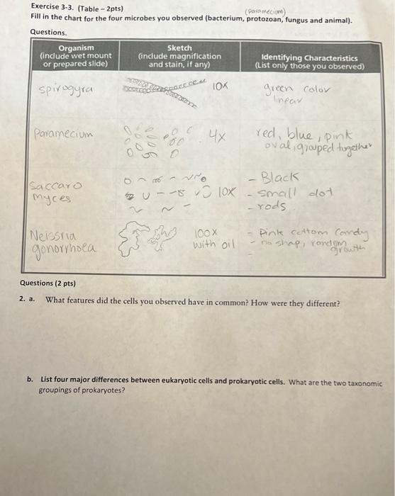 Solved Exercise 3-3. (Table −2pts) (pavamecion) Fill in the | Chegg.com