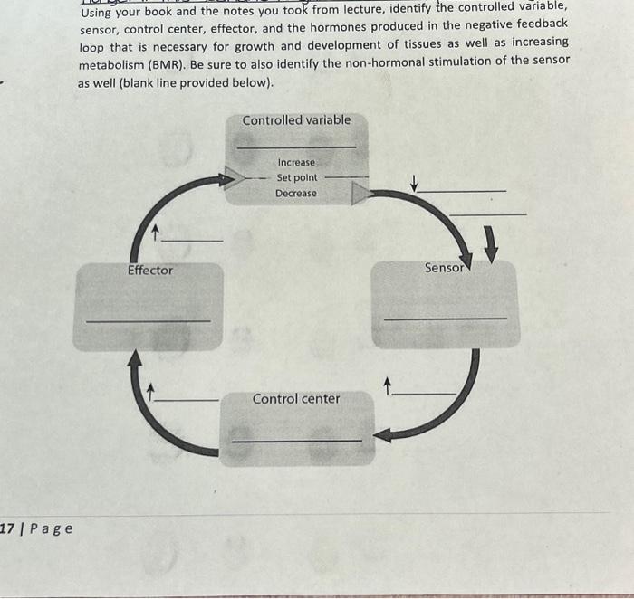 Solved Using your book and the notes you took from lecture, | Chegg.com
