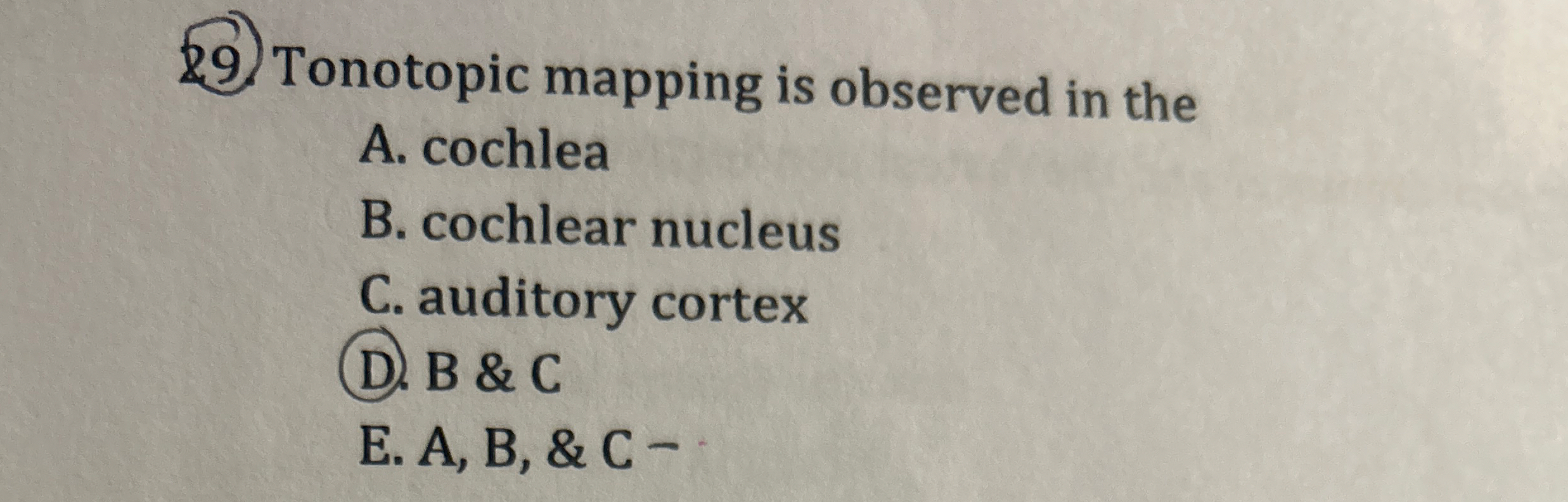 Solved Tonotopic mapping is observed in theA. ﻿cochleaB. | Chegg.com
