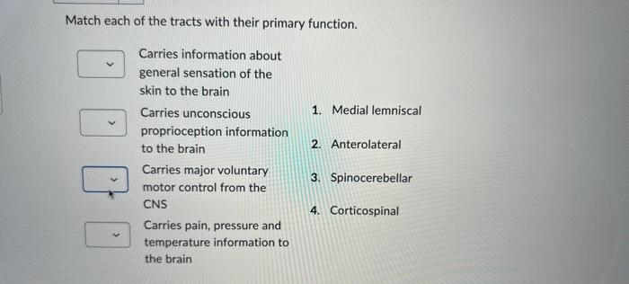 Solved Match each of the tracts with their primary function. | Chegg.com