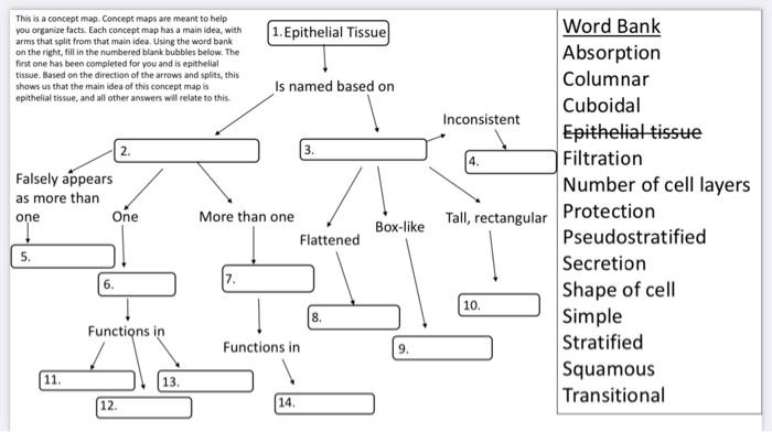 Solved Name the following epithelial tissues. Answer | Chegg.com