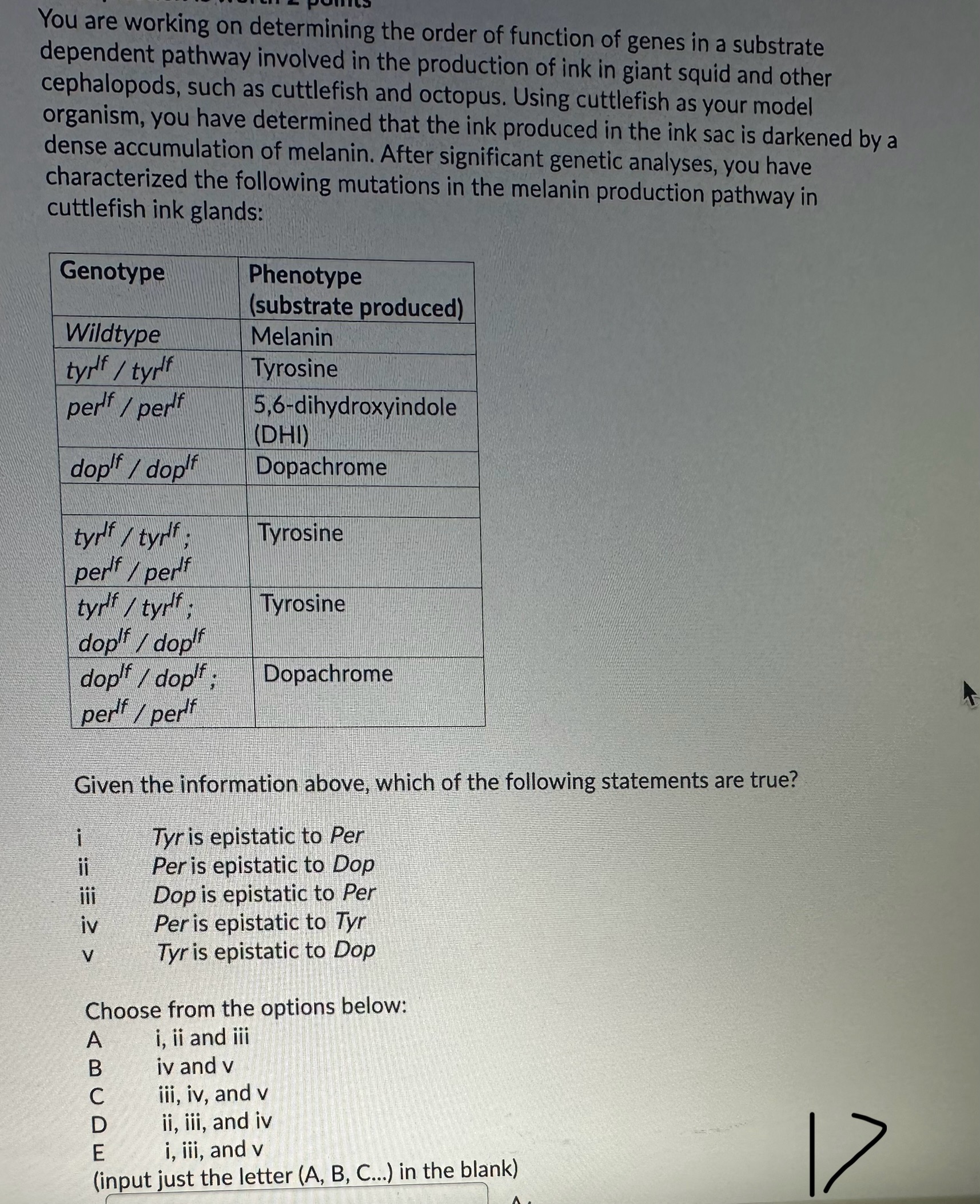 Solved You are working on determining the order of function | Chegg.com