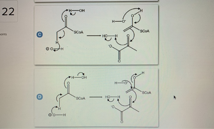 Solved art. VUL VE Select the partial mechanism below that | Chegg.com